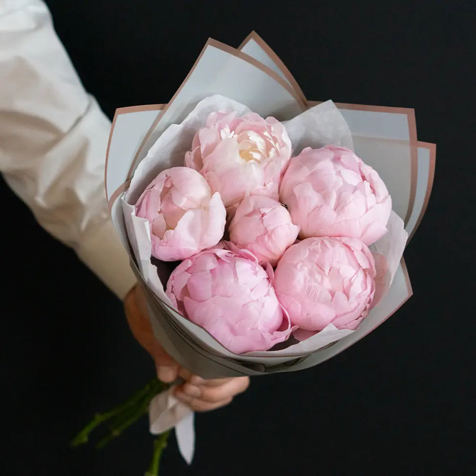 Pecher Peony – THE SCARLET FLOWER