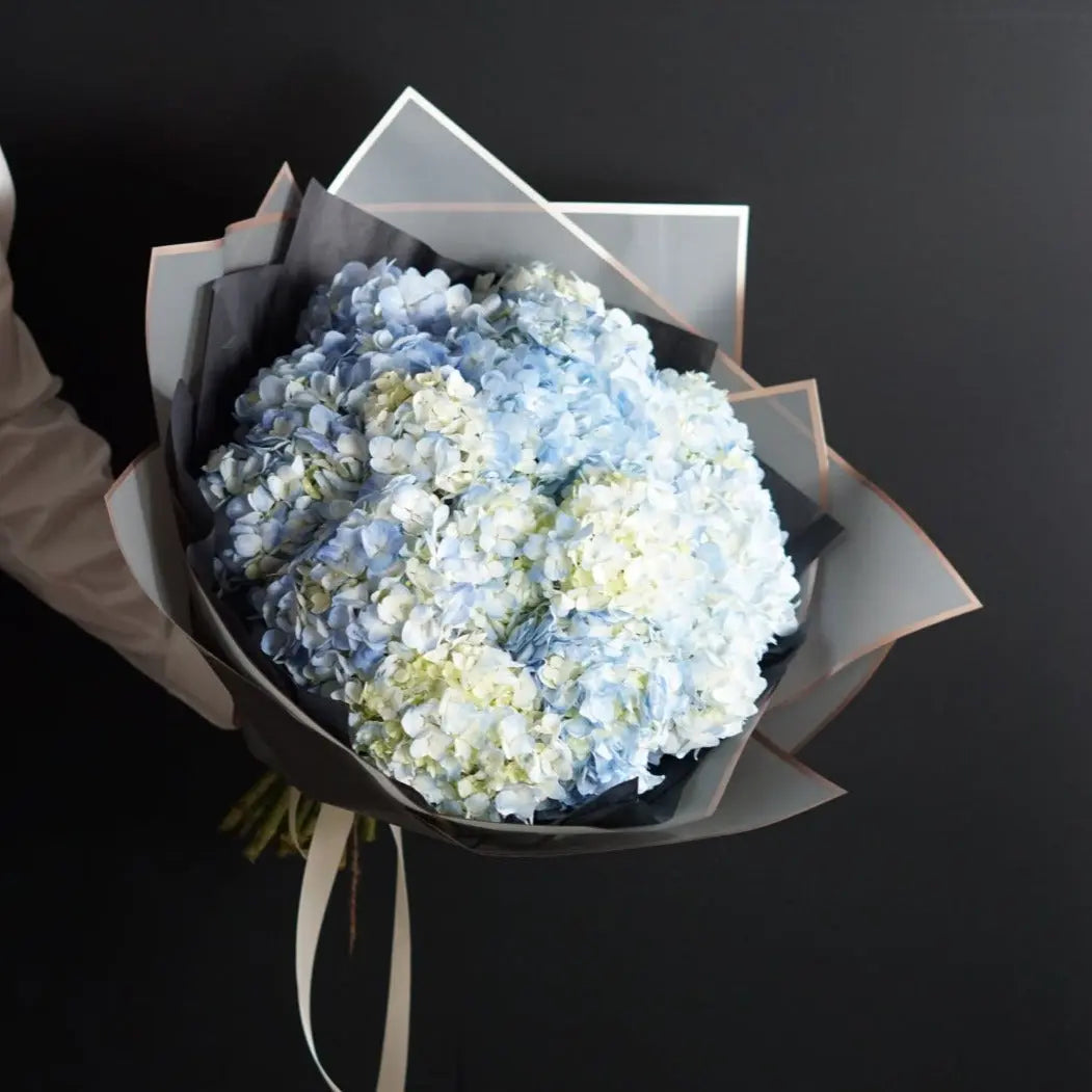 OCEAN BREEZE - Blue Hydrangea – THE SCARLET FLOWER